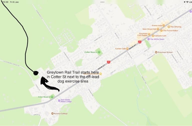 Tauwharenikau Trail - Greytown Trails Trust