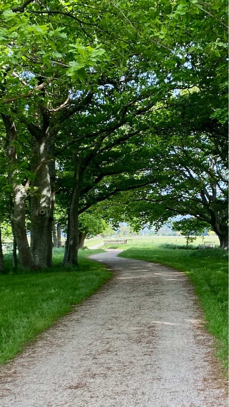 Greytown Rail Trail - Greytown Trails Trust