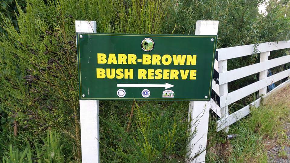 Barr-Brown Bush Reserve - Greytown Trails Trust